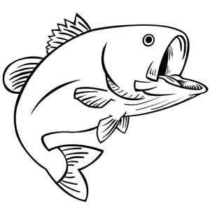 Fish coloring pages - SeaColoring